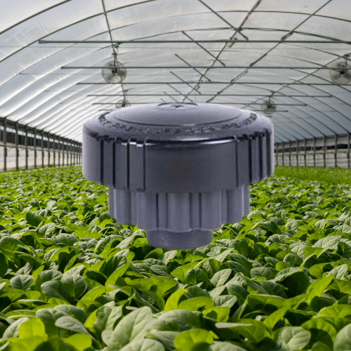 Premium Head Specifications & Features