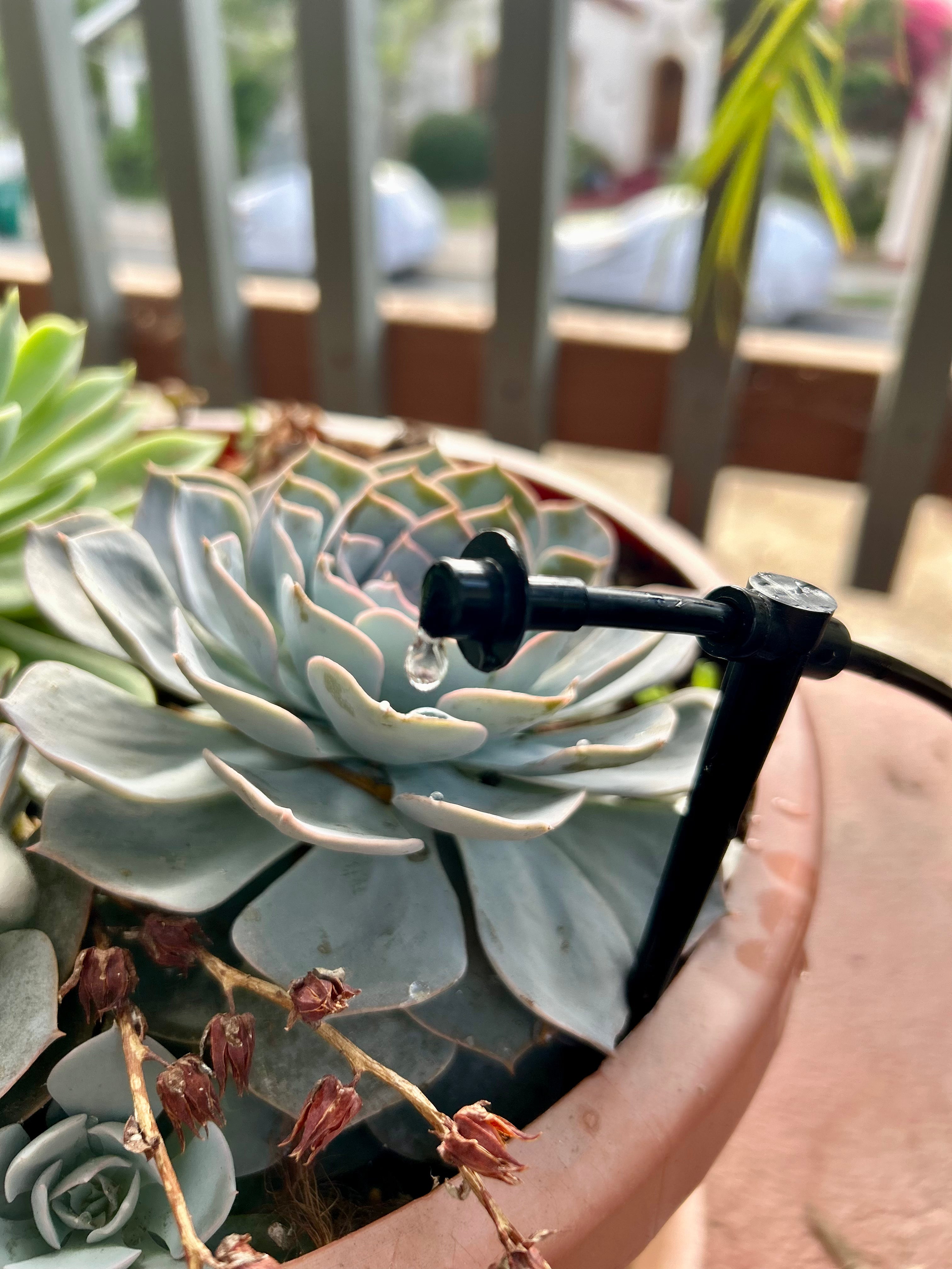 1.0 GPH Drip Irrigation Assemblies - Olson Irrigation